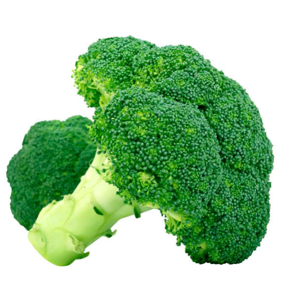 CHOU BROCOLI KOROS F1, plante en ligne